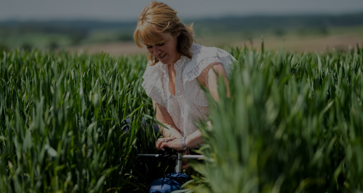 Liquid Fertiliser - Nitrasol are leading Specialists in the UK